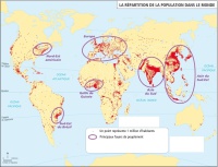 Exercice 1. Les foyers de peuplement